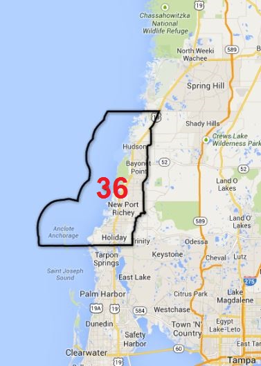 Florida House of Representatives District 36 - Ballotpedia