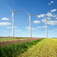 Donald Trump presidential campaign, 2016 - Ballotpedia